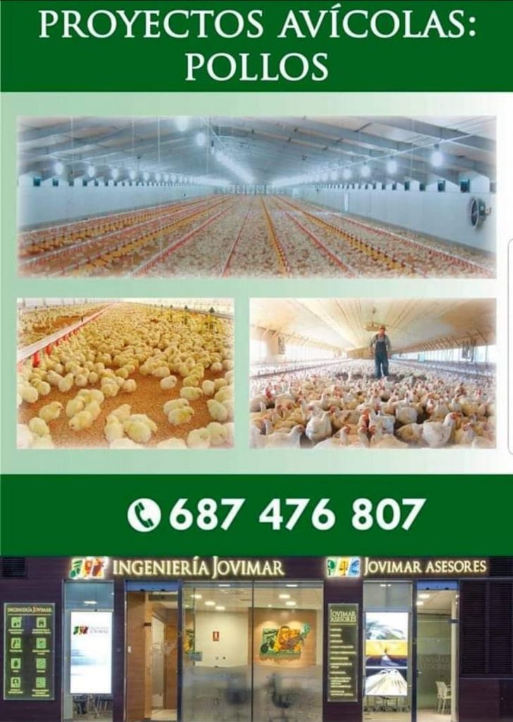 PROYECTOS AVÍCOLAS: POLLOS - Ingeniería Jovimar